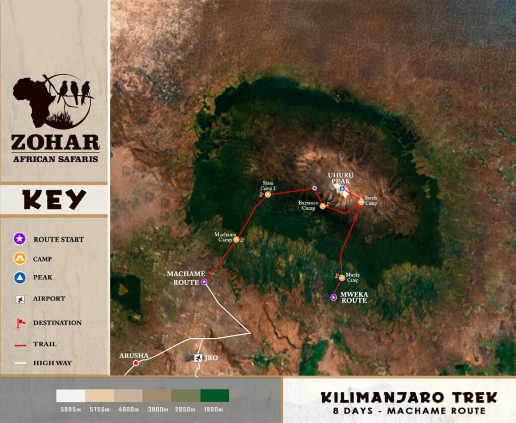 Kilimanjaro's Machame route trek - 8 days