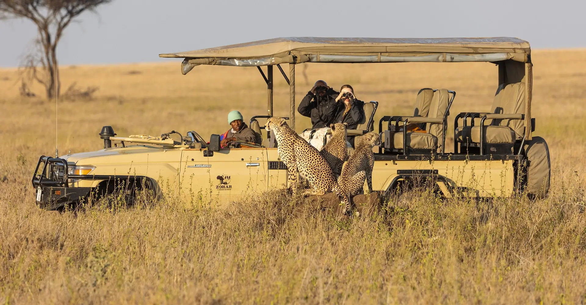 Your travel guide to Tanzania: safari, sea, and summit